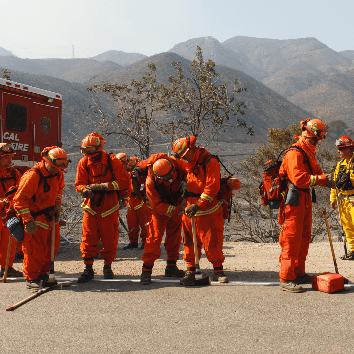 Wildland fabrics | Protection you can depend on