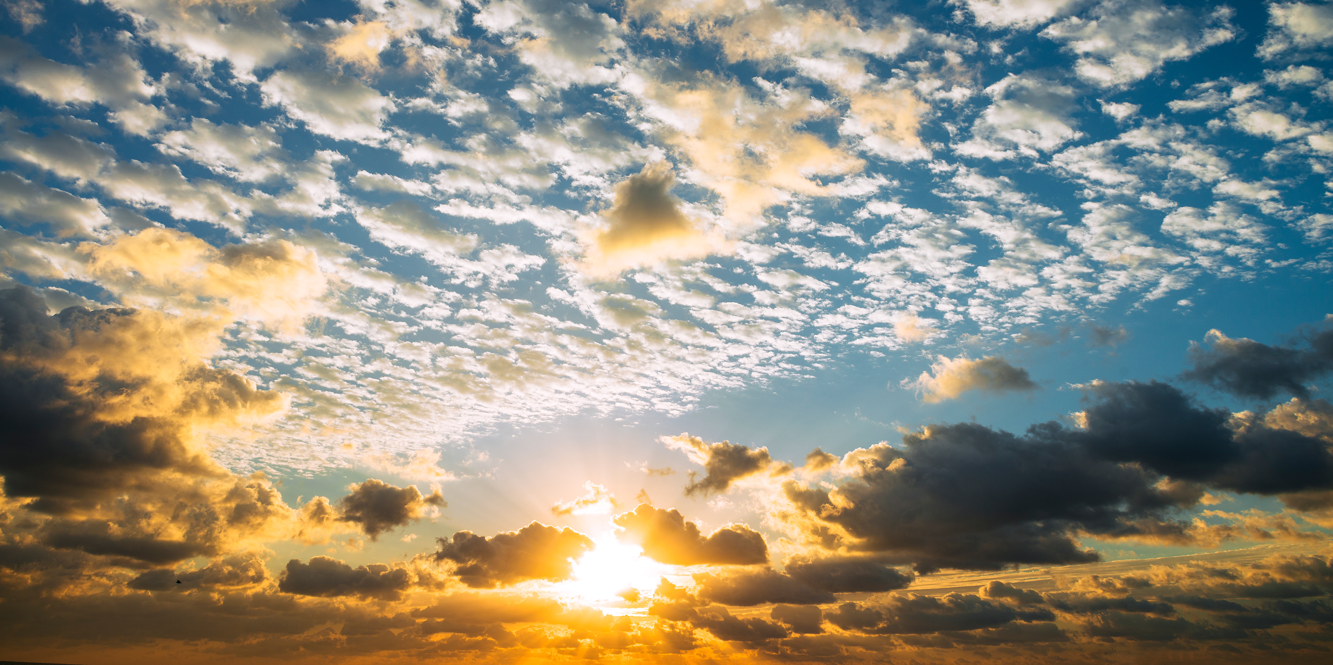 Finding a silver lining in the pandemic’s lasting effects